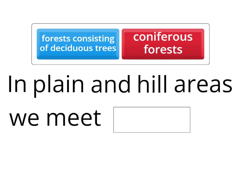 The forest - Complete the sentence
