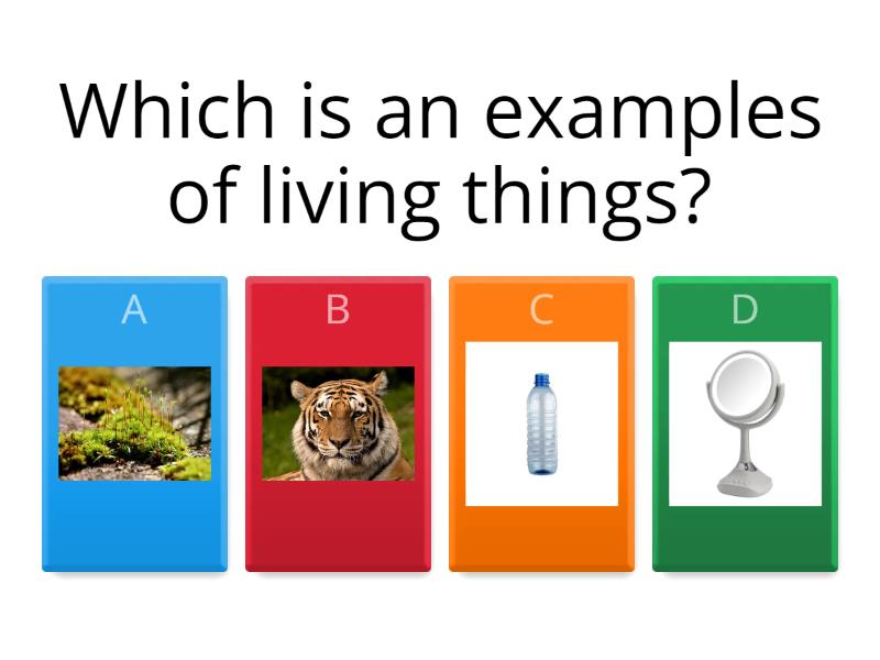 Living, Non-Living and Once Living - Cuestionario