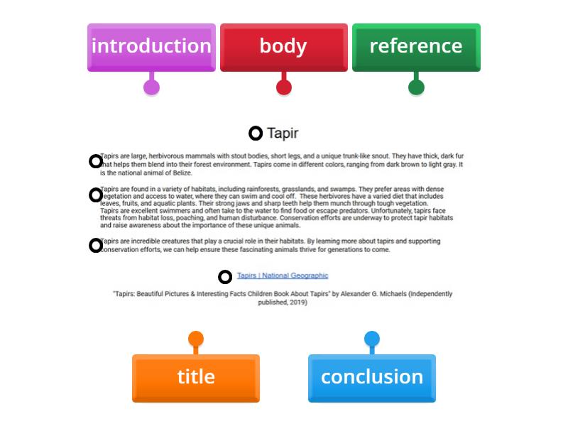 Parts of a Report - Labelled diagram