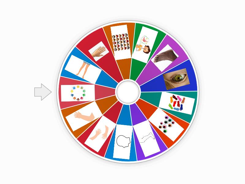 ESL50 Spring 24 - Parts of the body plural/singular review - Spin the wheel