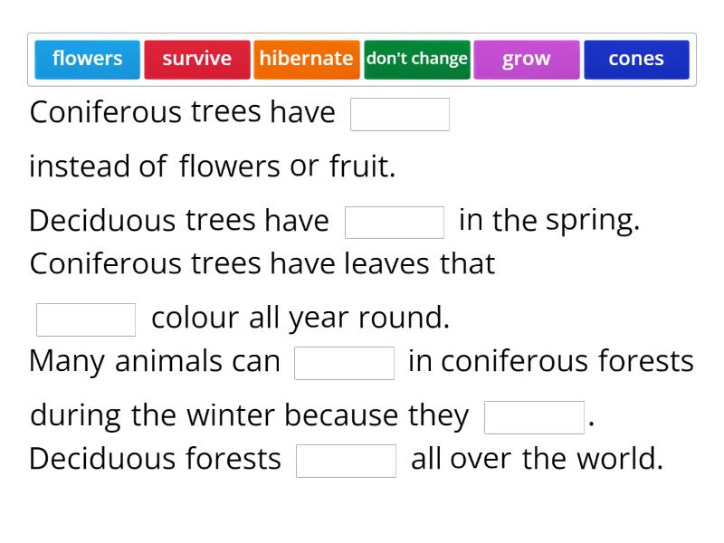 Two Different Forests - Complete the sentence