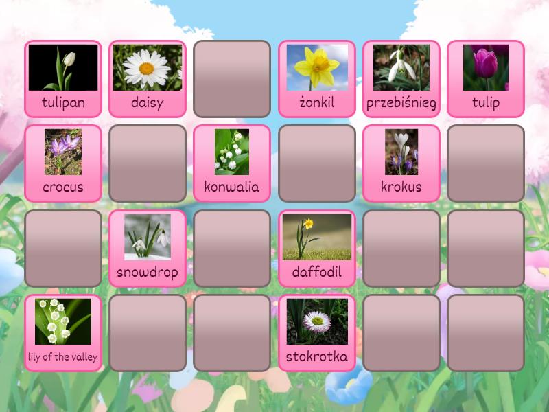 Spring flowers and insects. - Matching pairs