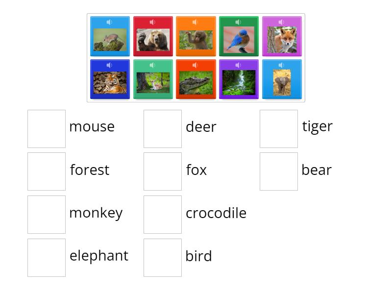 Wild animals - Match up