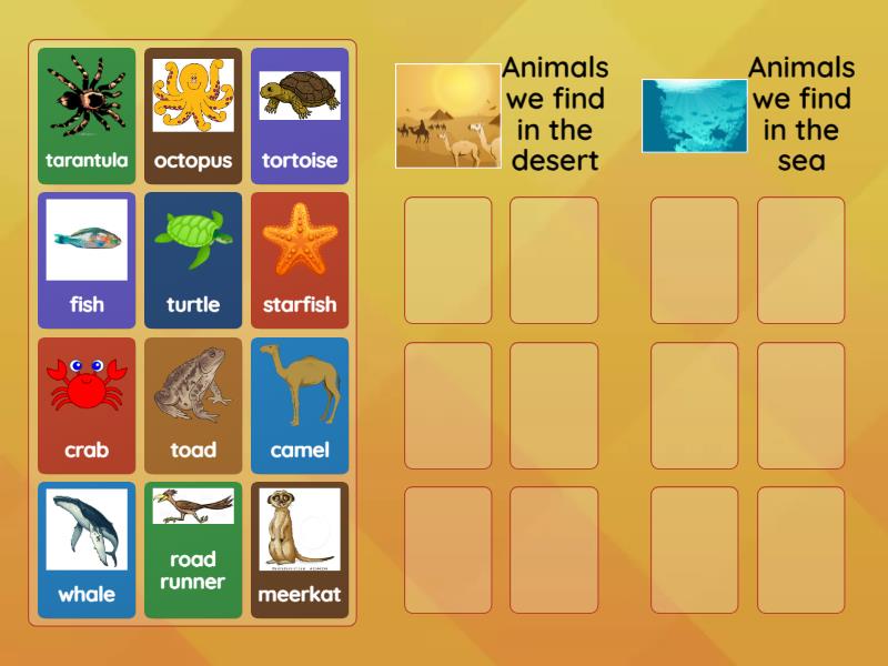 Desert animals - Group sort