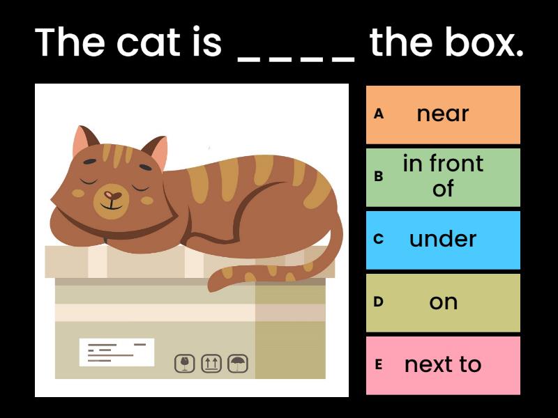 Prepositions of place | The cat & the box - Quiz
