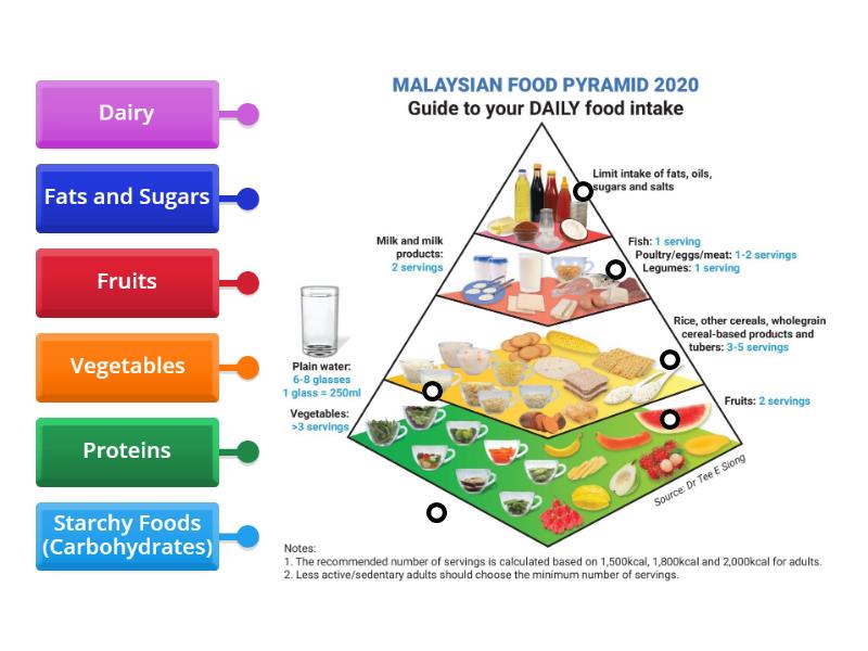 Label the Food Pyramid - Labelled diagram