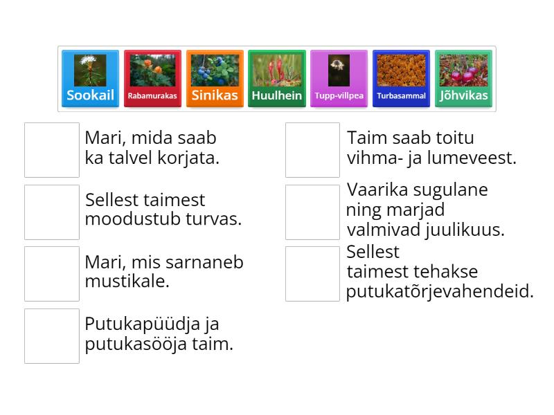 Soos ja rabas kasvavad taimed - Match up