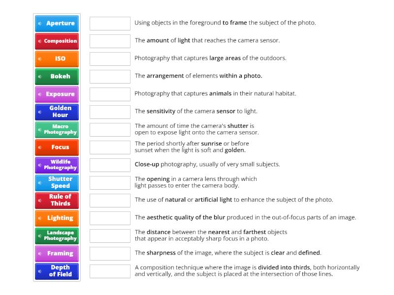 Nature Photography Vocabulary - Match up