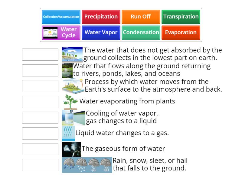 Water Cycle (5th Grade Science) - Match up