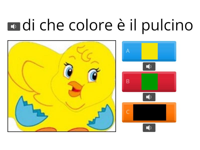il pulcino - Cuestionario
