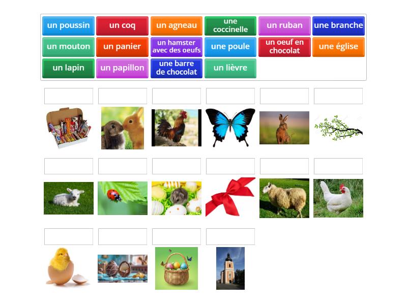 Les Paques, le printemps - Match up