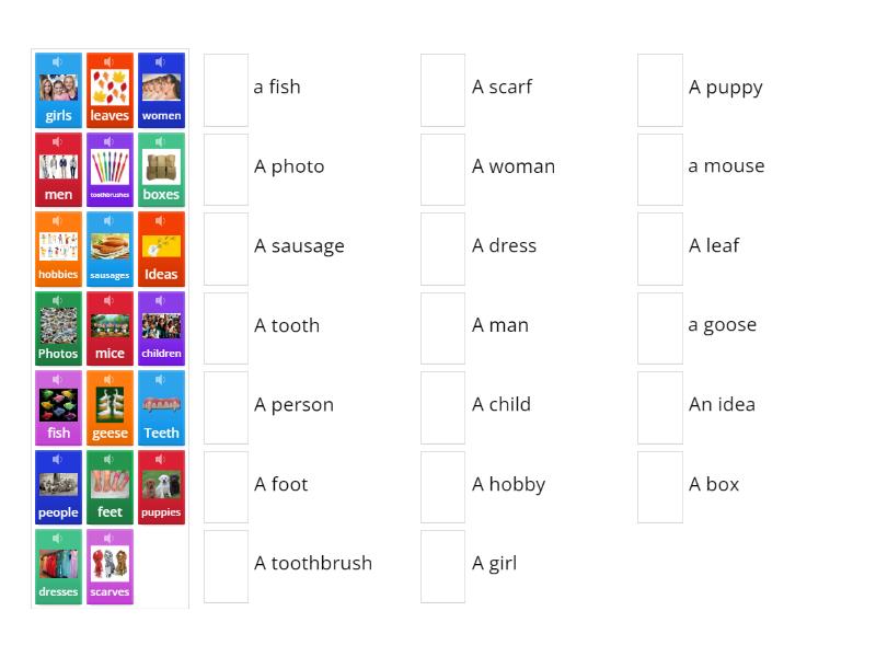 Starters Plural Nouns - Match up