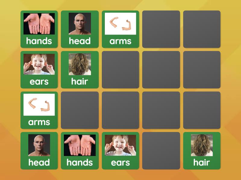 Body Parts - Matching pairs