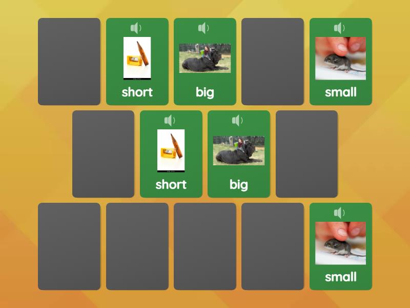 Kid's box 1 pets adjectives - Matching pairs