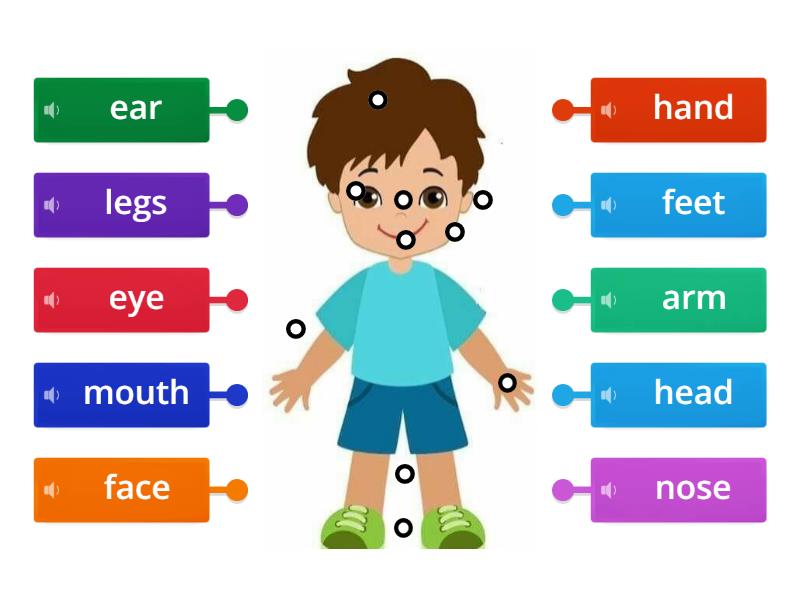 My Body - Labelled diagram