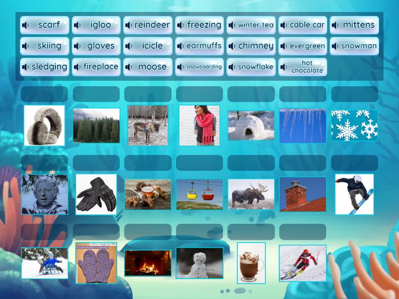 Winter vocabulary - Match up