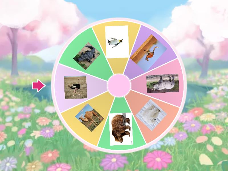 Spinning wheel - zoo animals (part 2) - MEIE - Spin the wheel