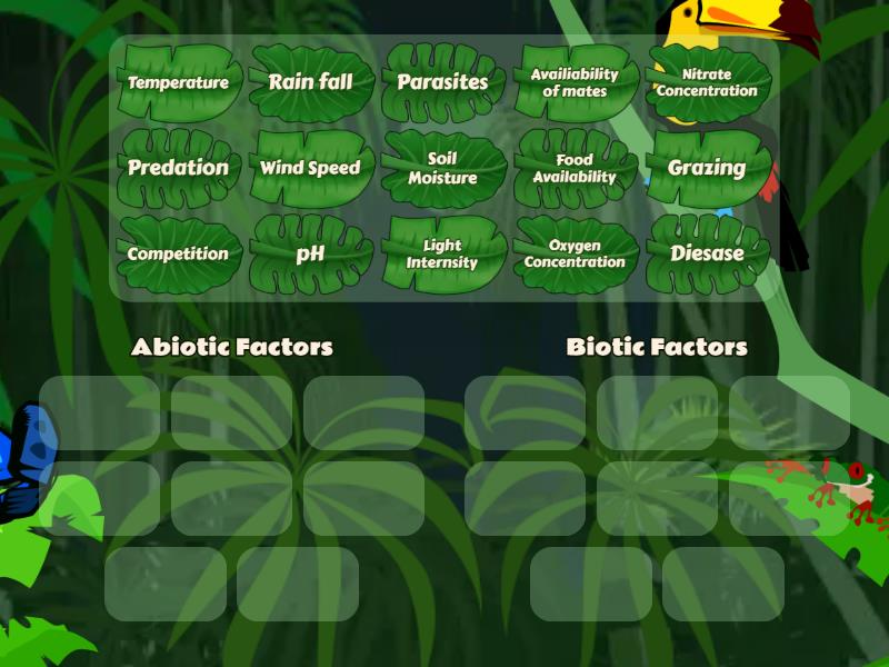 Factors Affecting Biodiversity - Group sort