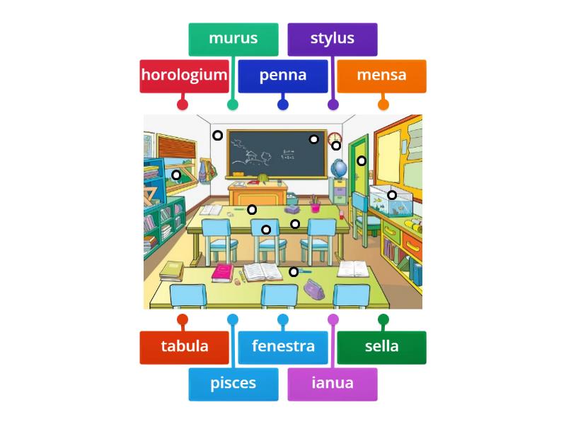 Latin Classroom Objects - Labelled diagram