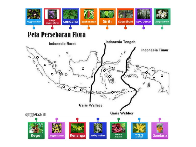 Sebaran Flora di Indonesia - Labelled diagram