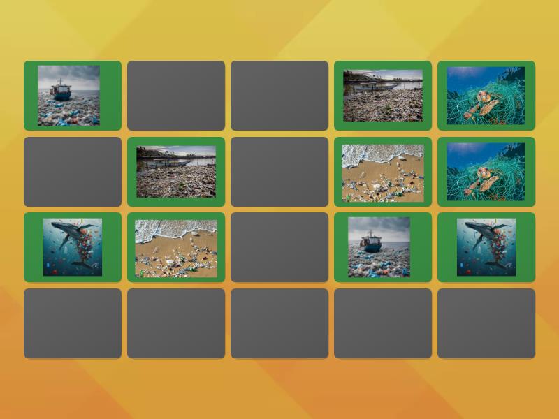 Shore Pollution - Matching pairs