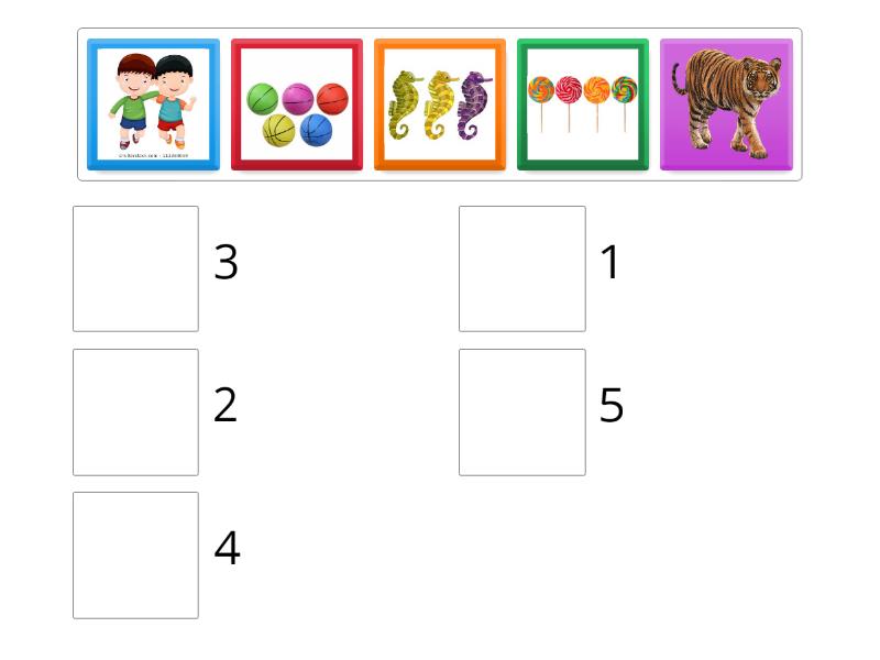 KG3 B Count and Match the objects. - Match up