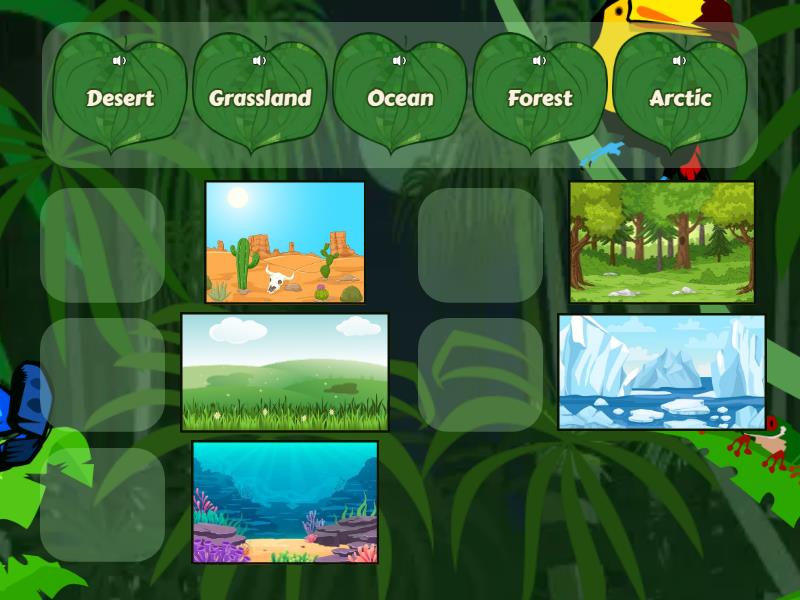 Animal Habitats - Match up