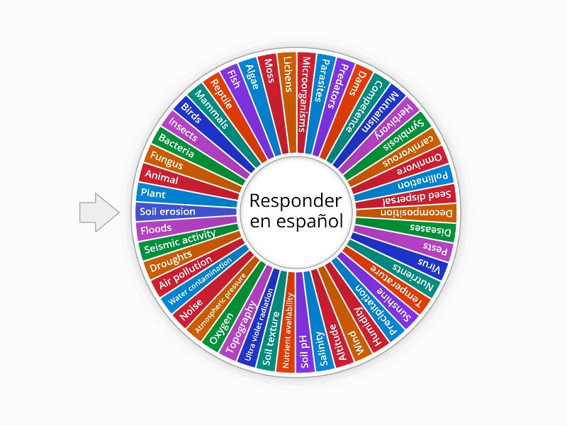 Pictionary Inglés - Spin the wheel