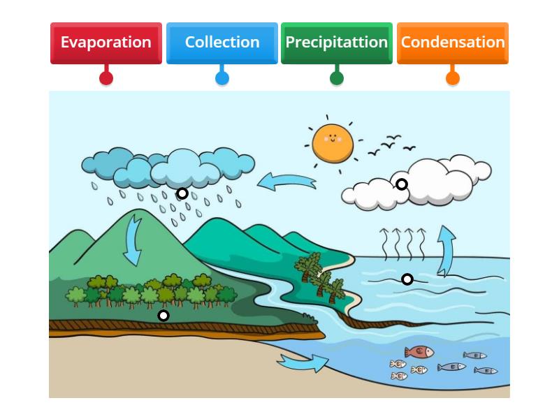 Water Cycle - Labelled diagram
