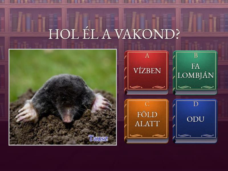 A VAKOND - Quiz