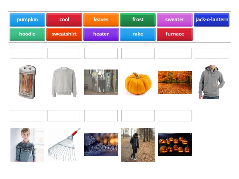 Word of the day = fall - Match up