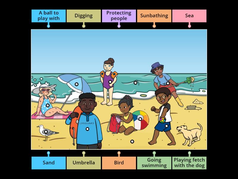 Beach activity - Labelled diagram