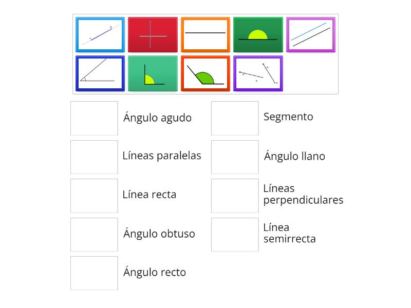 Tipos de líneas y de ángulos (Parte 2) 4 Grado - Associação
