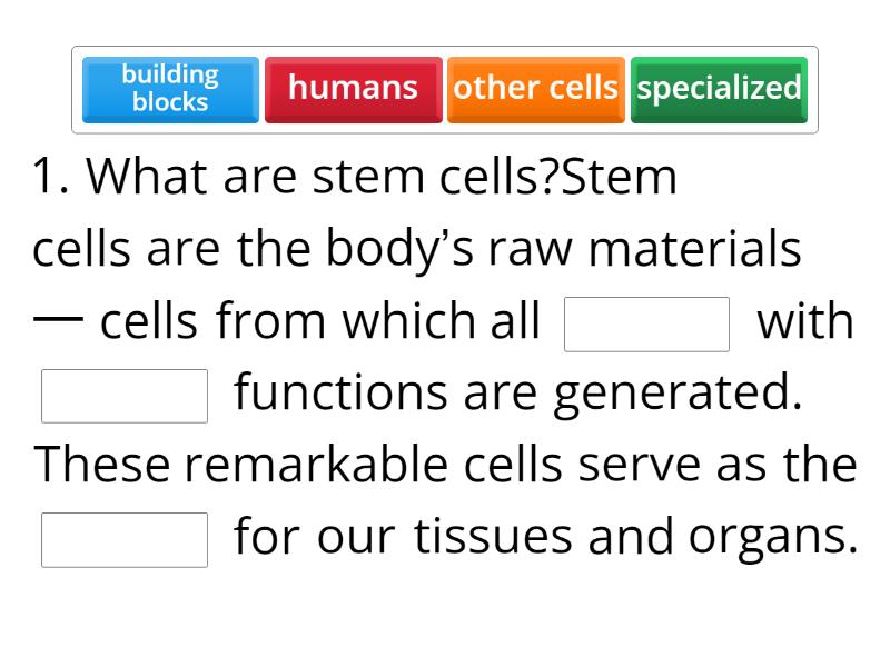 STEM CELLS - Complete the sentence