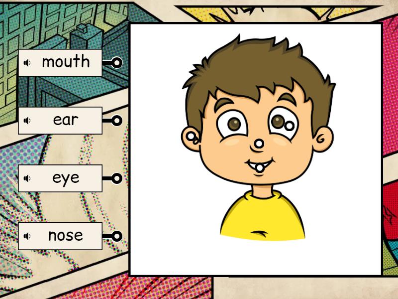 Face( Eyes Nose Mouth Ears) - Labelled diagram