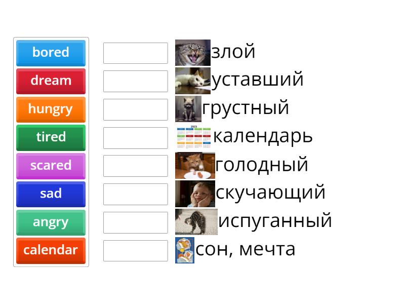 Spotlight (4) Module 5 - Match up