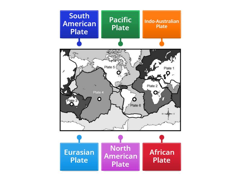 Earth's Tectonic Plates - Labelled diagram