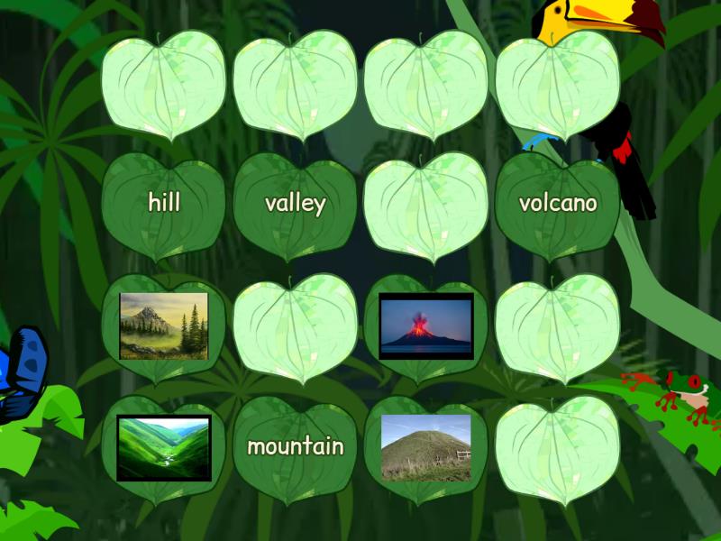 Landforms- - Matching pairs