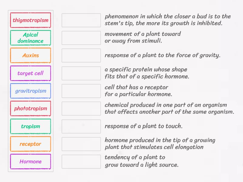 Plant Hormones - Match up