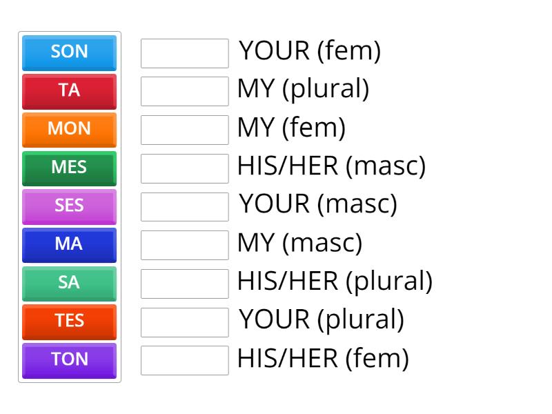 FRENCH POSSESSIVE ADJECTIVES 1 - Match up