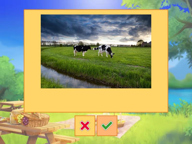 CP4_H2_Introductie (vocabulaire natuur en landschap) - Flash cards