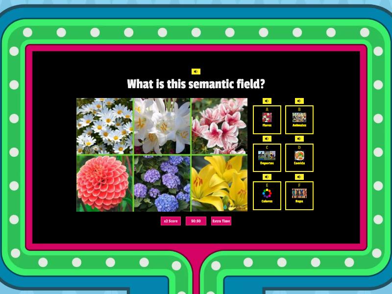 SEMANTIC FIELD - Gameshow quiz