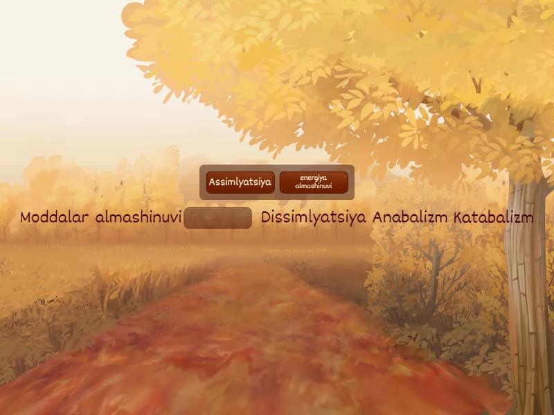 Moddalar almashinuvi - Complete the sentence