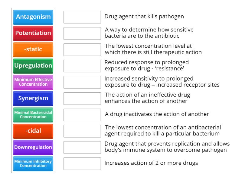 VNSA7-3.1-Pharmacology terminology 2 - Match up