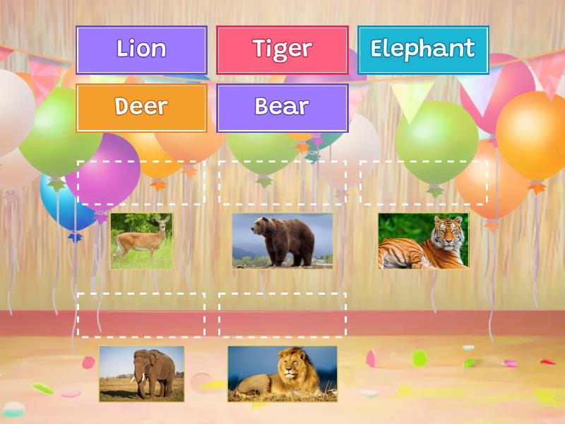 Animal - Match up