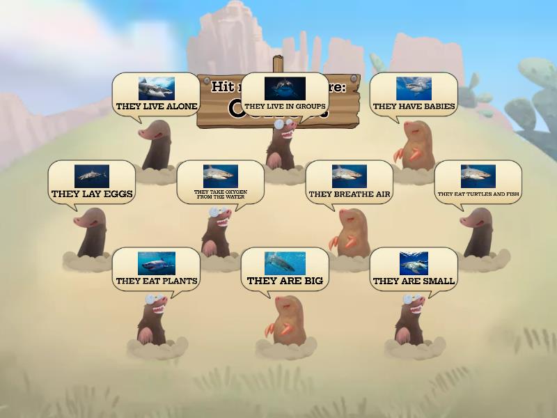 THE WHITE SHARK - Whack-a-mole