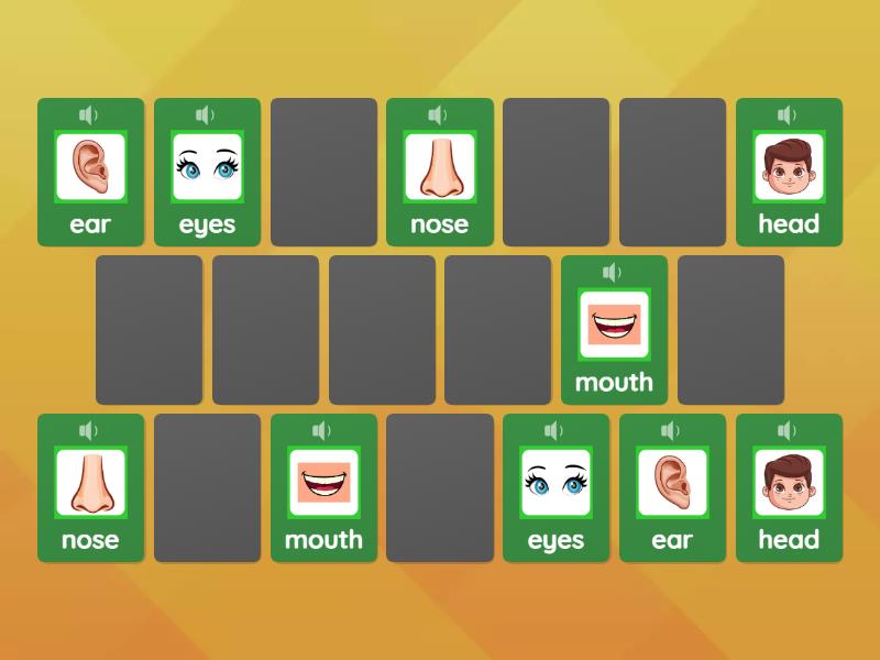 My body_Flashcards - Matching pairs