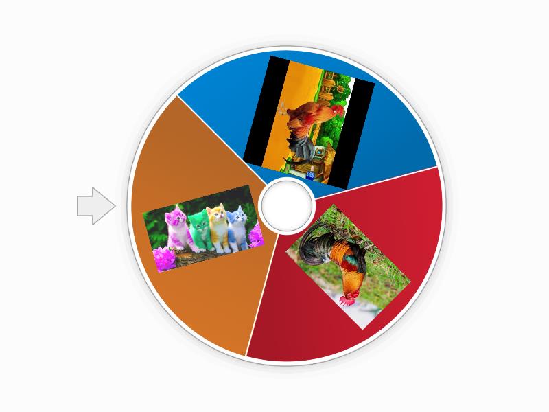 vong quay kỳ diệu - Random wheel