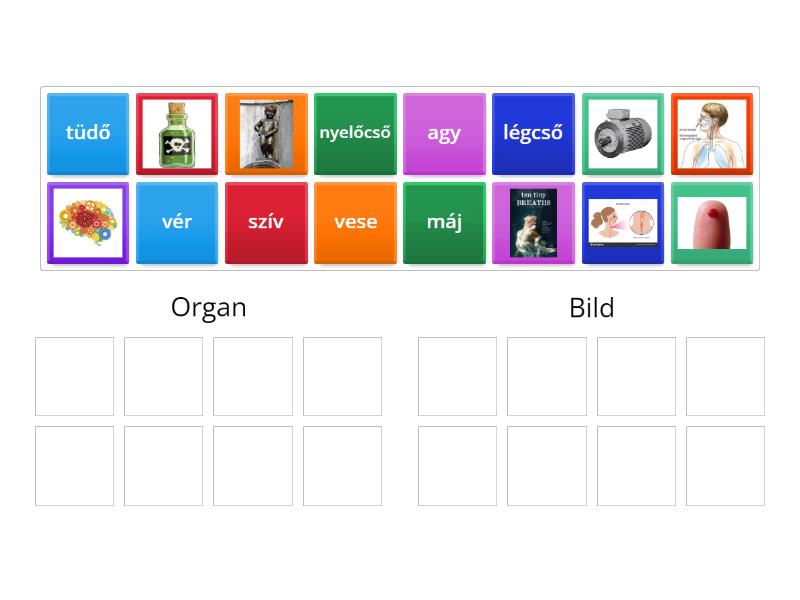 Berolina II - Group sort