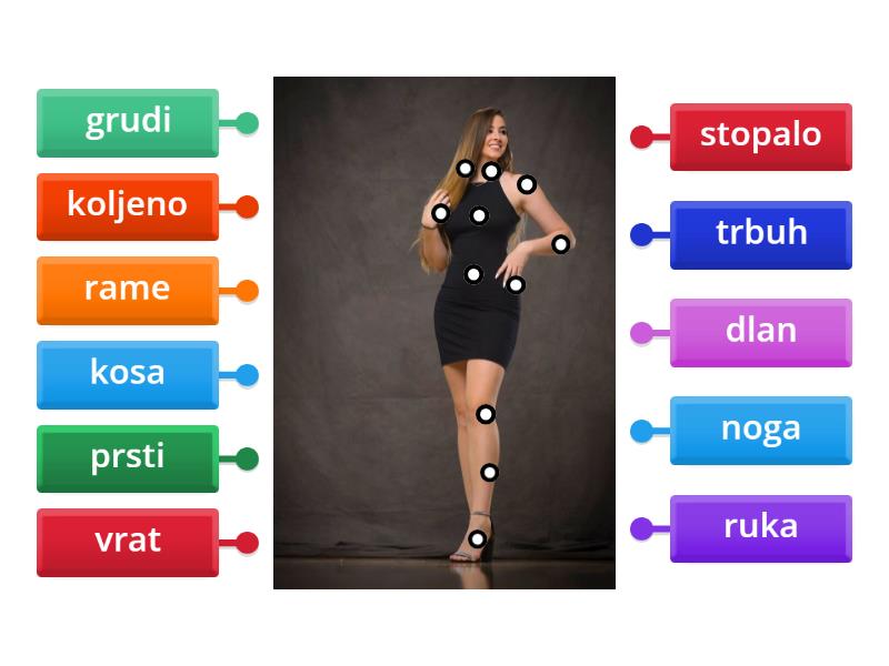 Dijelovi tijela - Labelled diagram